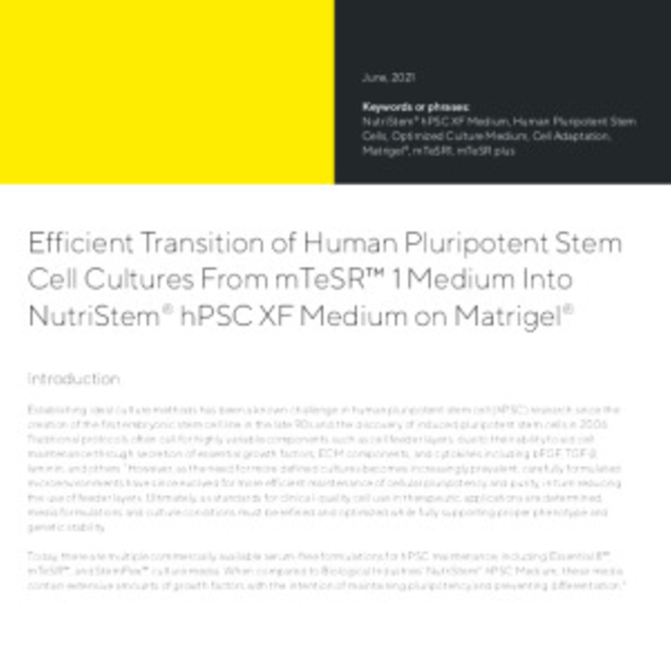 mTeSR™ 1培地からNutriStem®培地へのヒト多能性幹細胞（hPSC）の移行（Matrigel®上での操作）